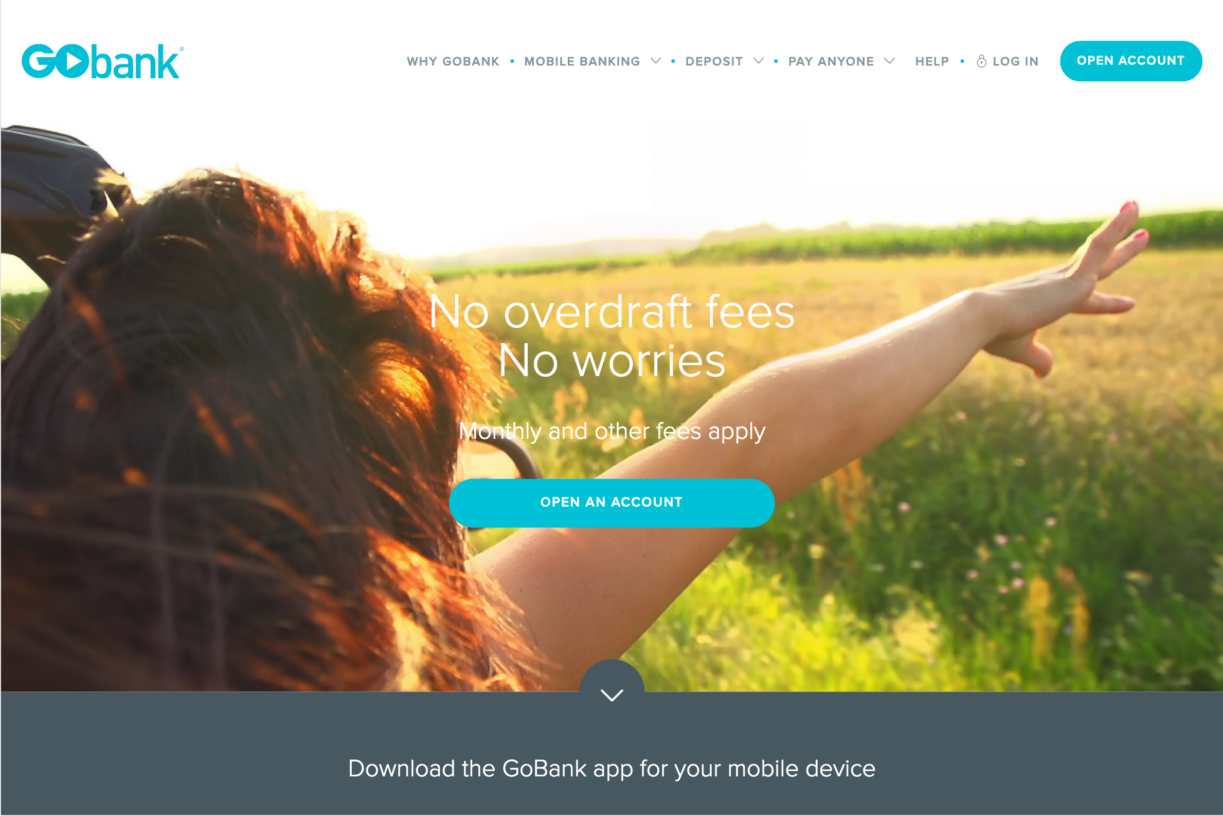 Flex Web Design System | Human Friendly Design